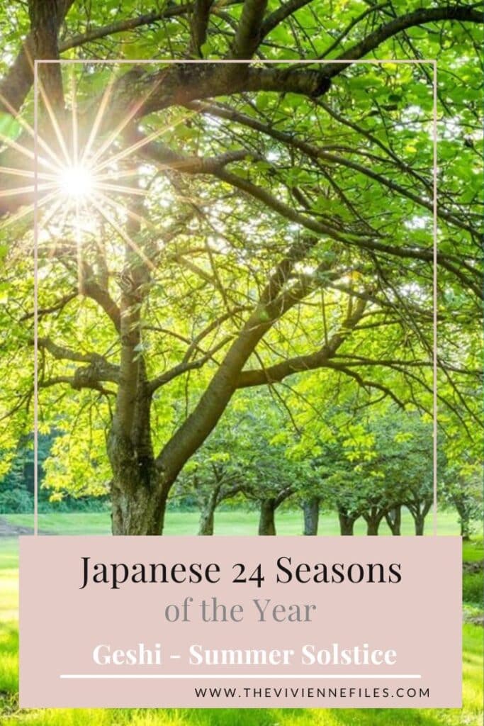Year 2 – Japanese 24 Seasons of the Year – Geshi - Summer Solstice ...